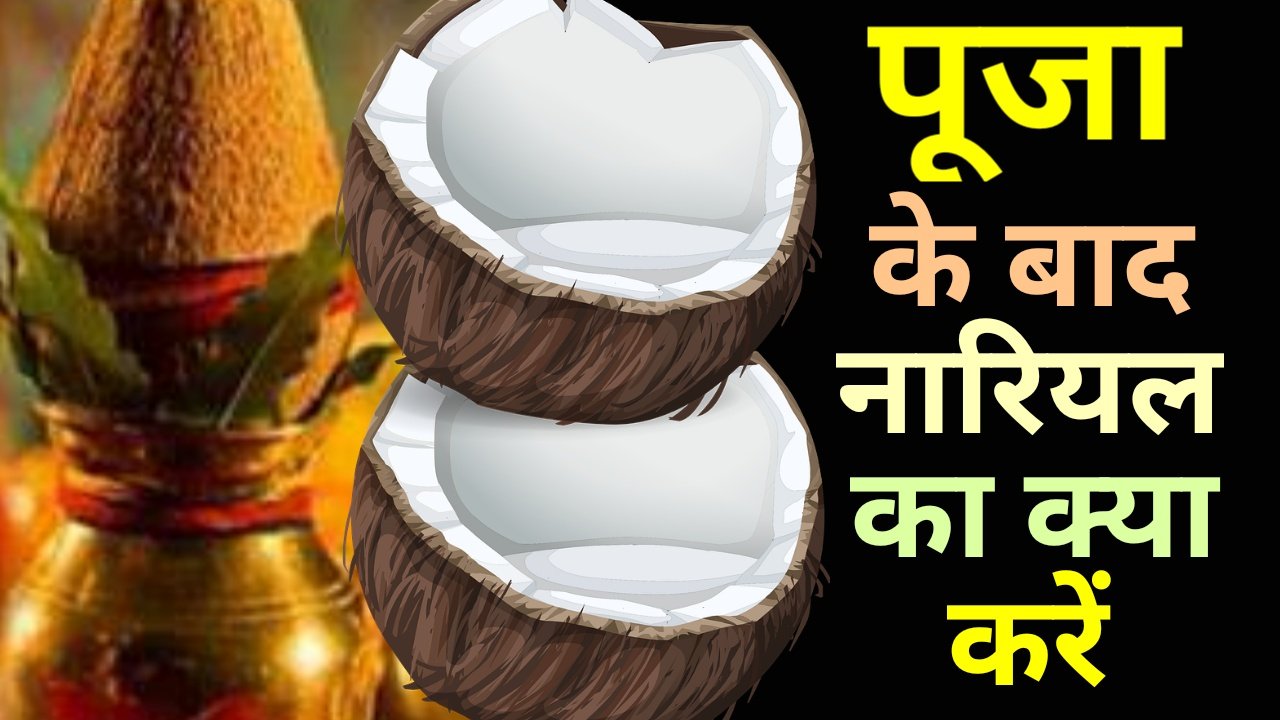 नारियल किस दिन तोड़ना चाहिए / कलश स्थापना में नारियल कैसे रखें - Sundarta